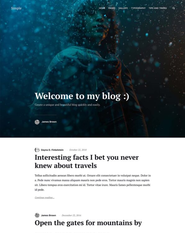 Simple Theme: Minimal Blogging for Authors and Bloggers